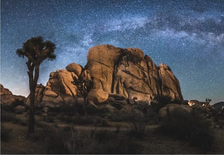 Ultimate Guide The Joshua Tree National Park | CuddlyNest