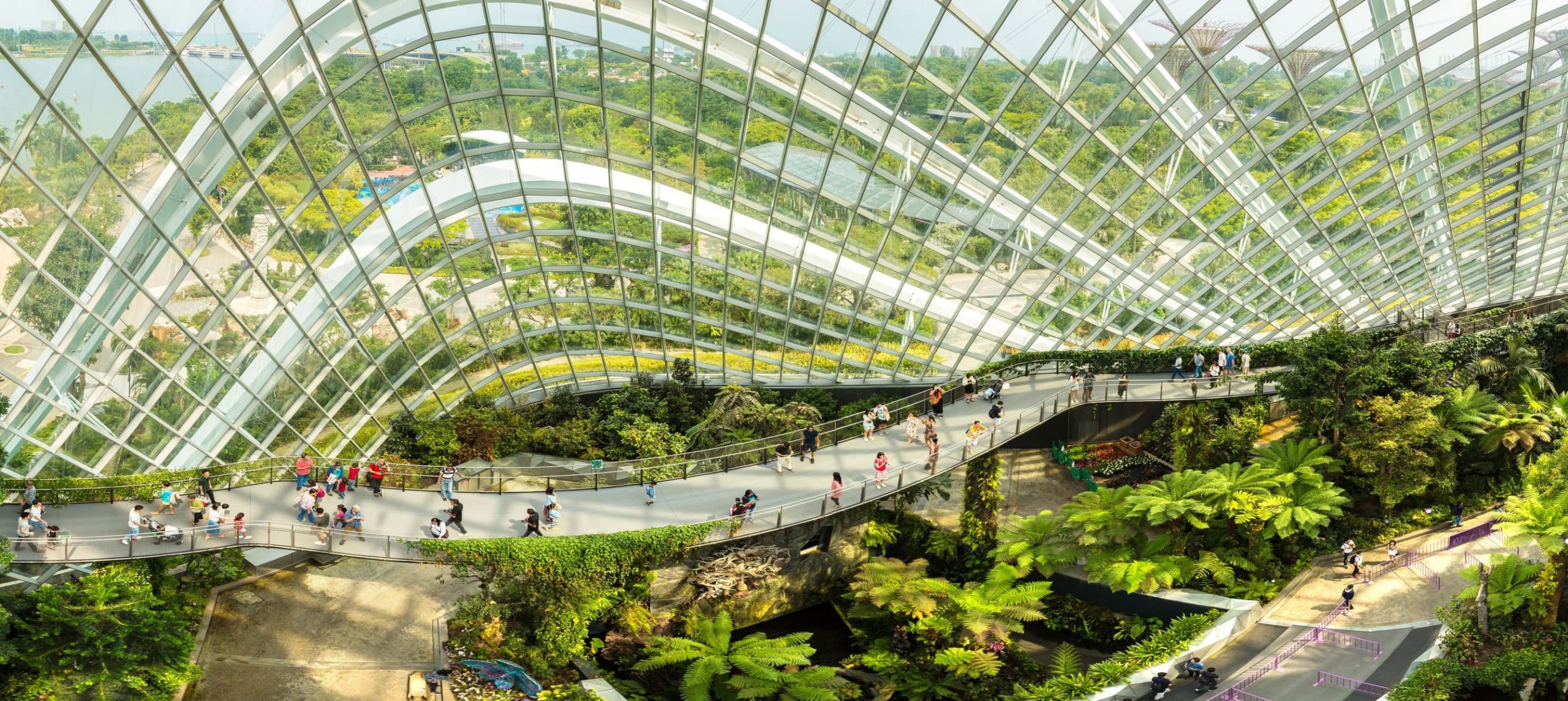The 18 Best Things To Do In Singapore CuddlyNest