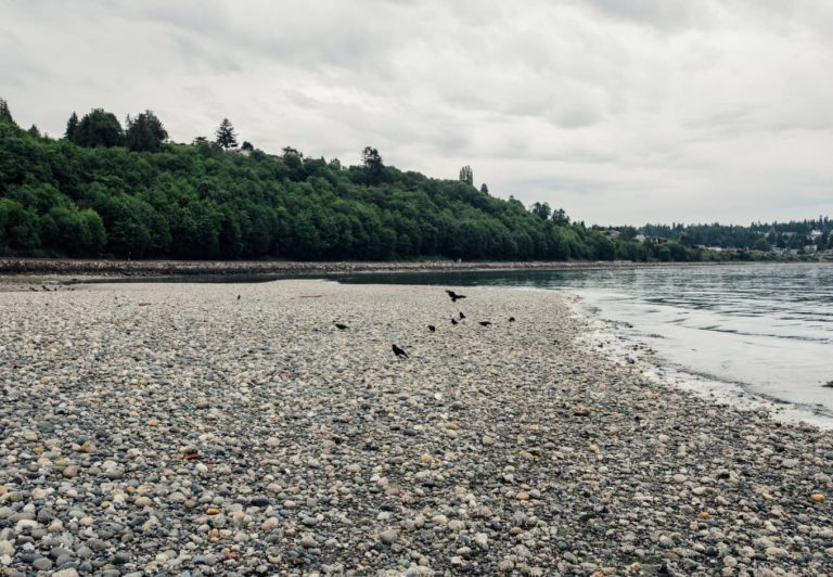 The 7 Most Beautiful Seattle Parks | CuddlyNest
