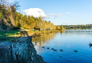 The 7 Most Beautiful Seattle Parks | CuddlyNest