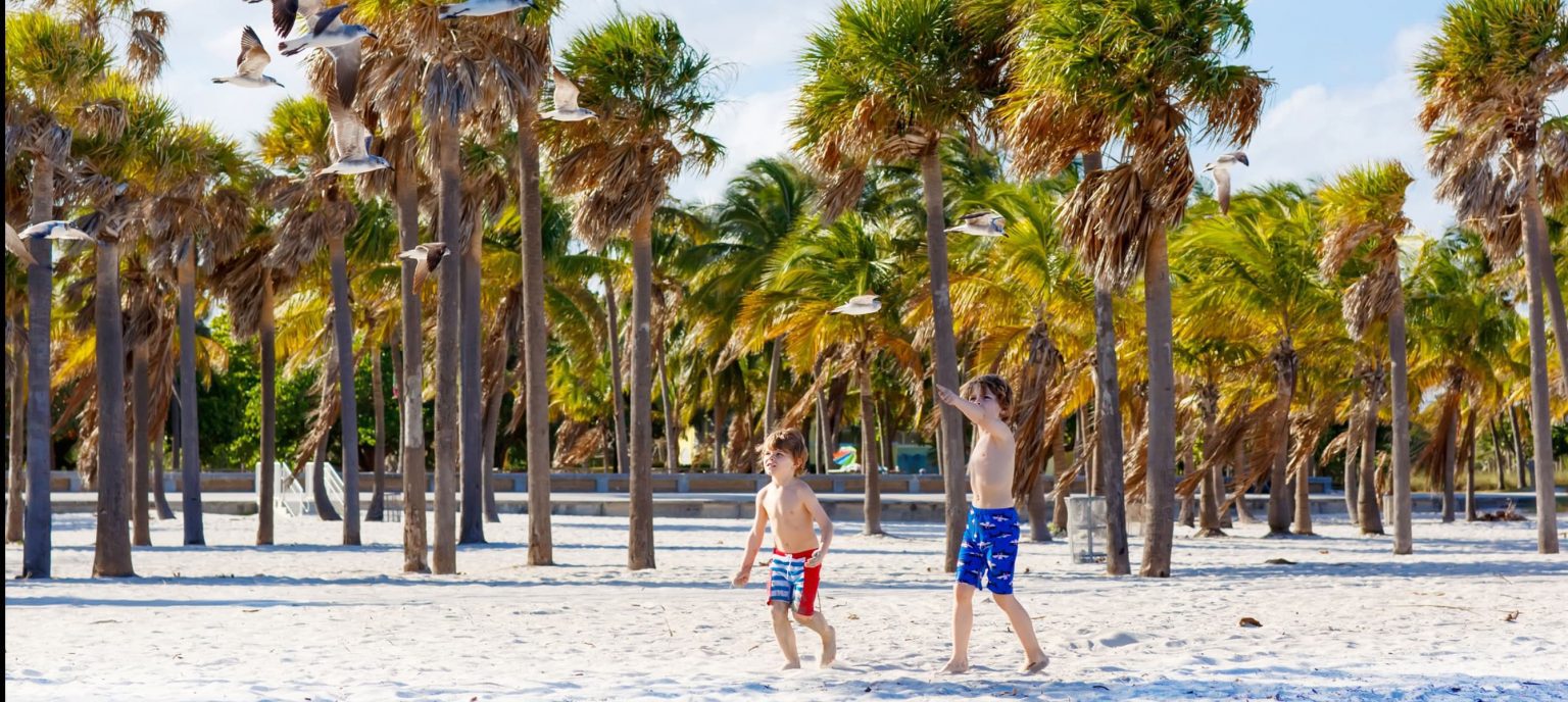 25 Amazing Things to Do in Miami With Kids | CuddlyNest