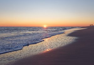 Top 8 Things To Do In Cape May, New Jersey | CuddlyNest