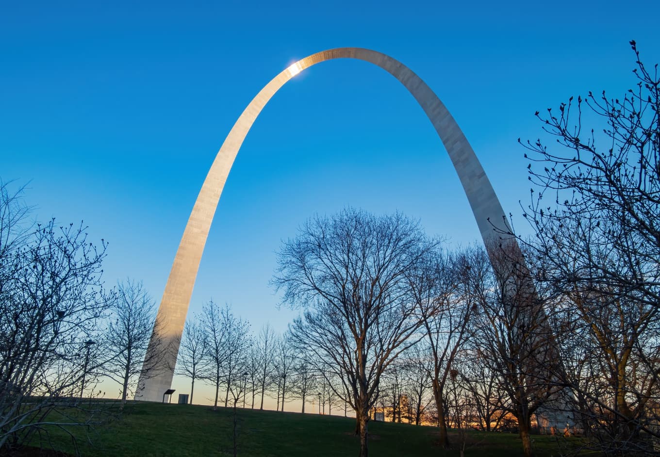 The Ultimate Guide To Downtown St Louis | CuddlyNest
