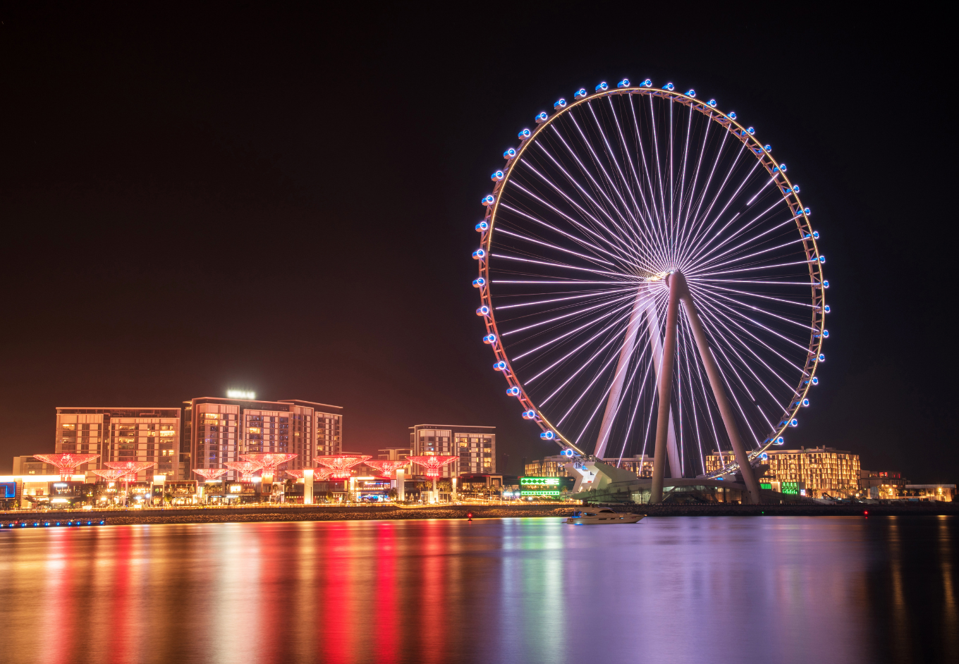 Experiencing Ain Dubai | CuddlyNest