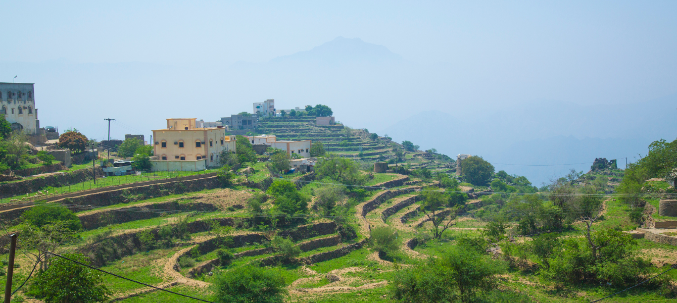 Green Mountain Abha | CuddlyNest