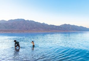 Visit The Mysterious Haql Shipwreck Beach | CuddlyNest